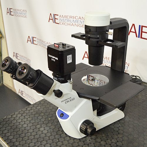 Olympus CKX53 microscope